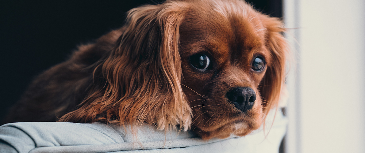 The Sad Road to Happy: How Opening Pandora’s Box Can Be a Happy Gift ...